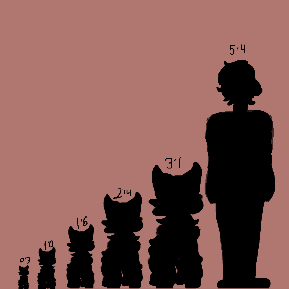 Height Chart For Fluffs Art By Kathi Fluffy Image Self Posting height-chart-for-fluffs-art-by-kathi-fluffy-image-self-posting